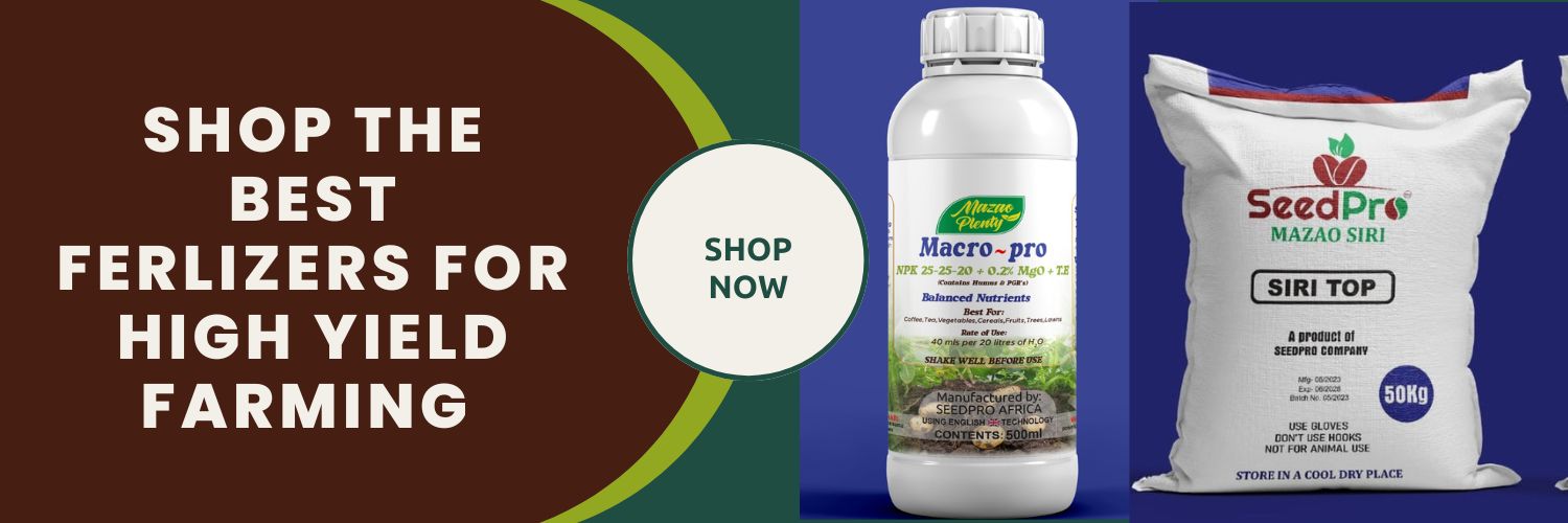 SeedPro Africa Ltd | premium fertilizers to enhance crop yields