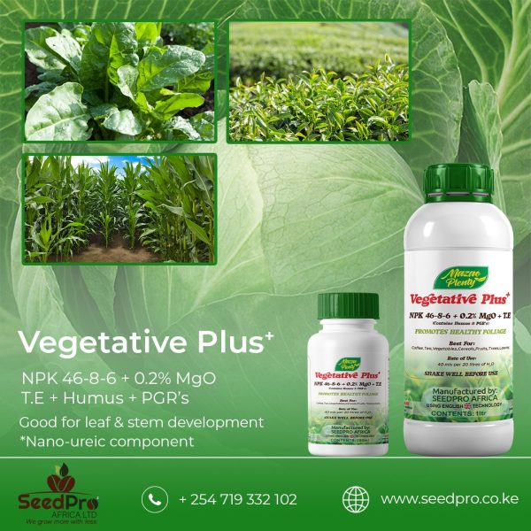 Home 01 - Seed Pro Africa Ltd