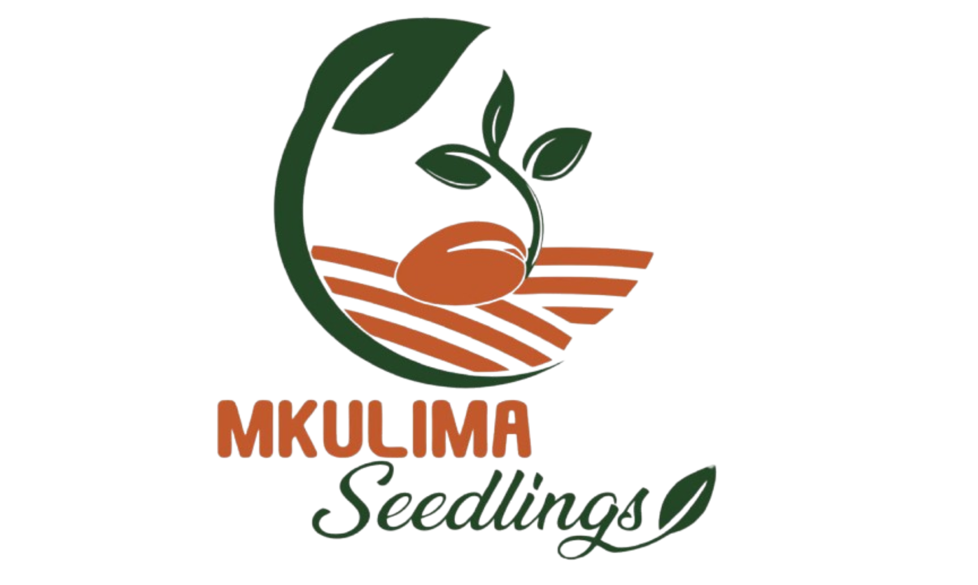 Home 01 - Seed Pro Africa Ltd