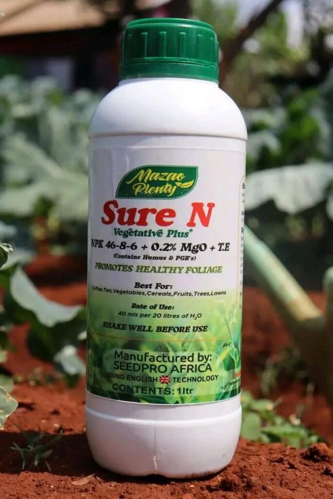 Understanding Nitrogen Deficiency in Crops and How Seedpro Can Help You Fix It - Seed Pro Africa Ltd