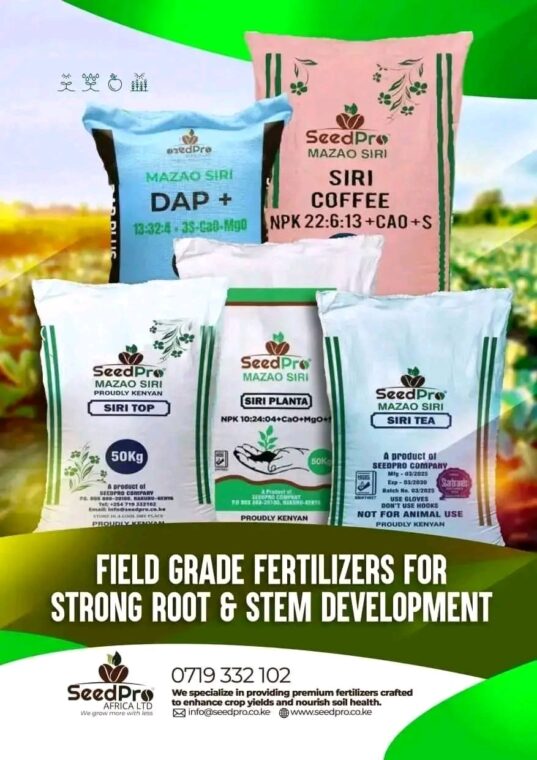 Organo-mineral fertilizers: feeding the plant, rebuilding the soil ...